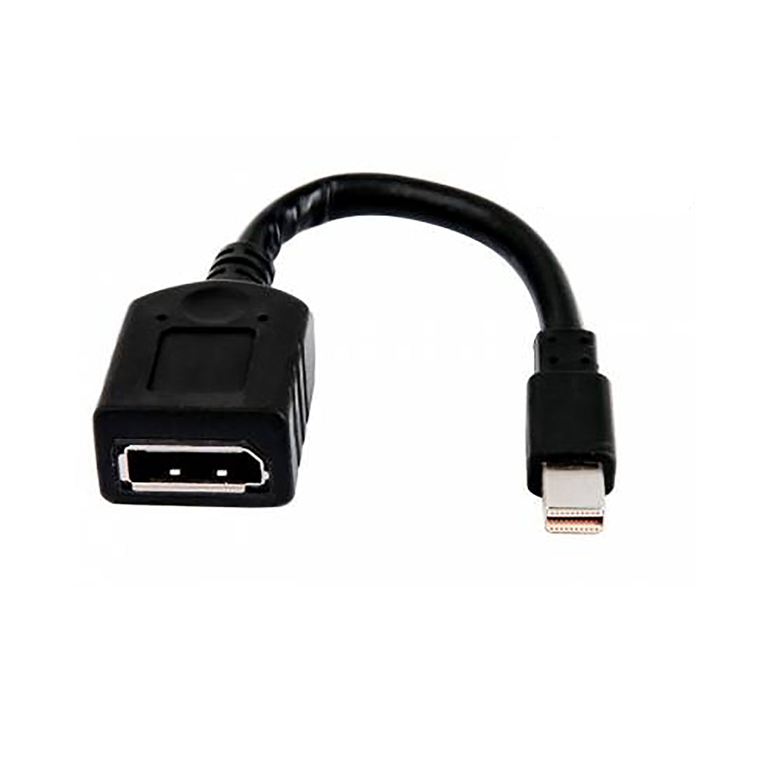 HP 2MY05AA Mini Display Port to Display Port Adapter - TPSTech – tpstech.in